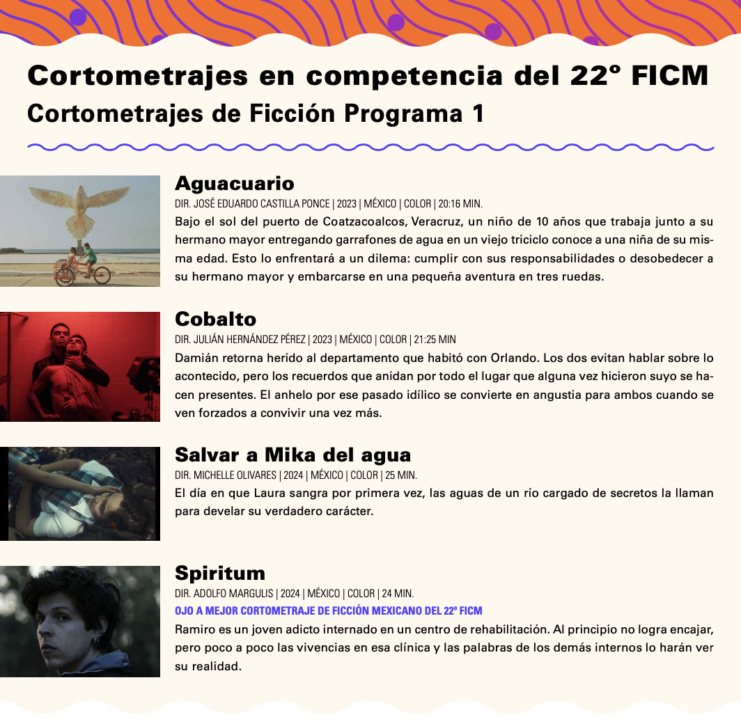 FICM Presenta: Cortometrajes y documentales 22° FICM | Morelia Film Festival